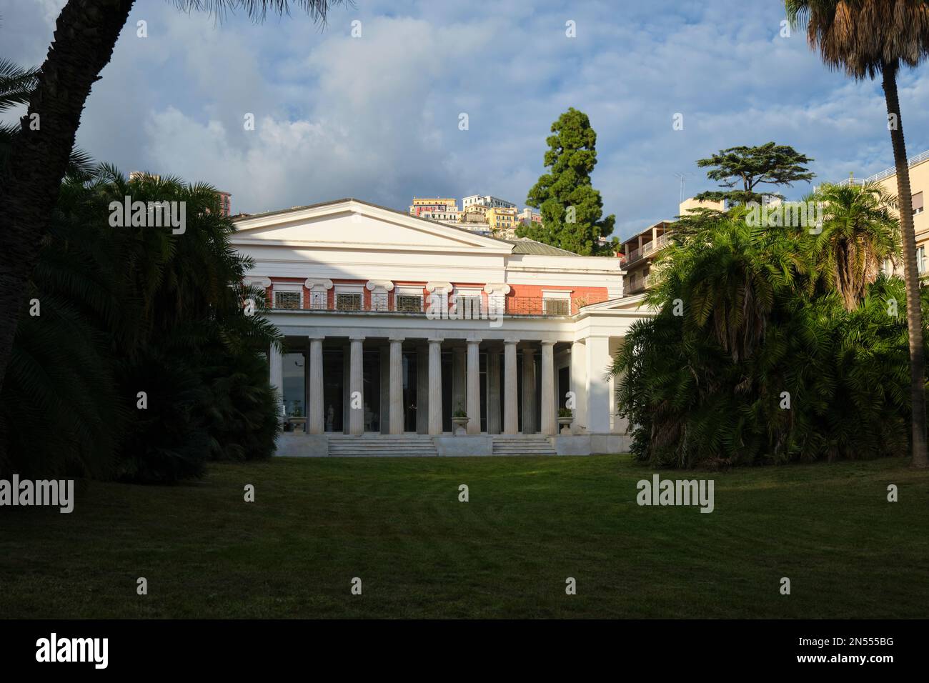 The rear, back of the grand house, featuring a large, white, columned ...