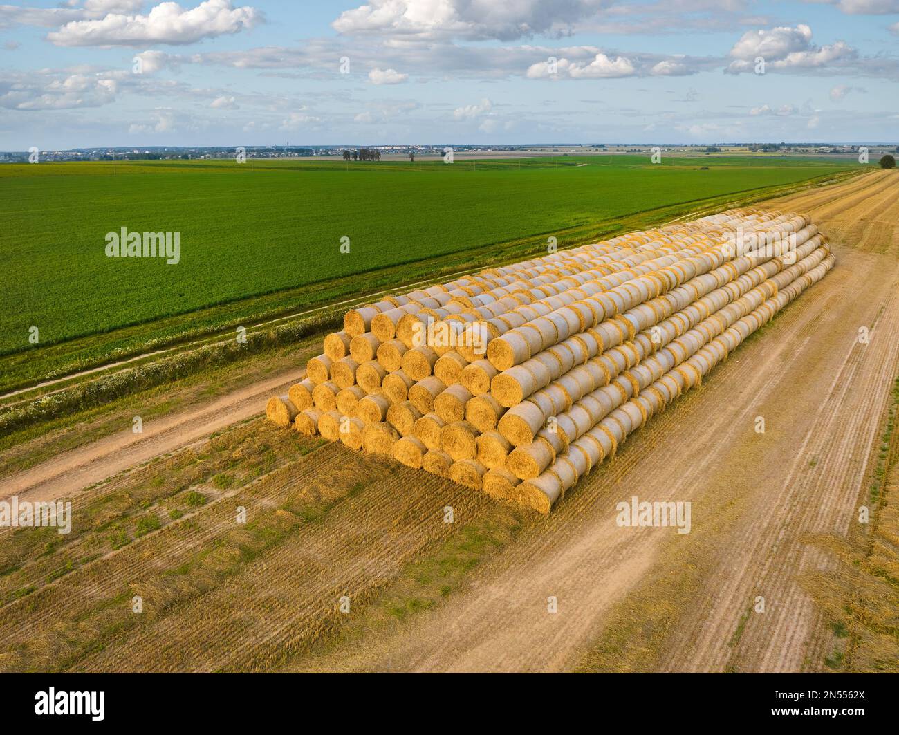 Huge storage stack of straw bales collected by modern tractor Stock ...