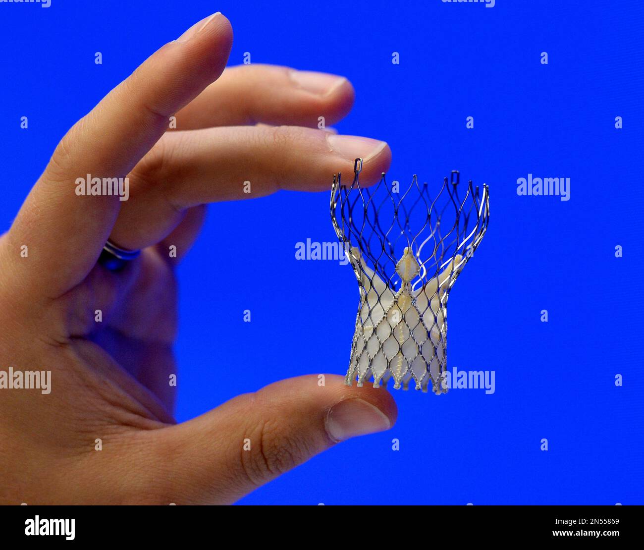 Medtronic Inc.’s CoreValve is photographed at an American College of ...