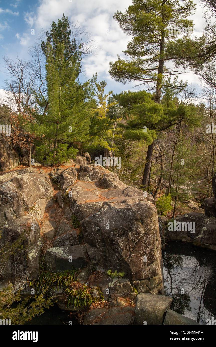 Rocks and potholes left by the Ice Age glaciers with trees in ...