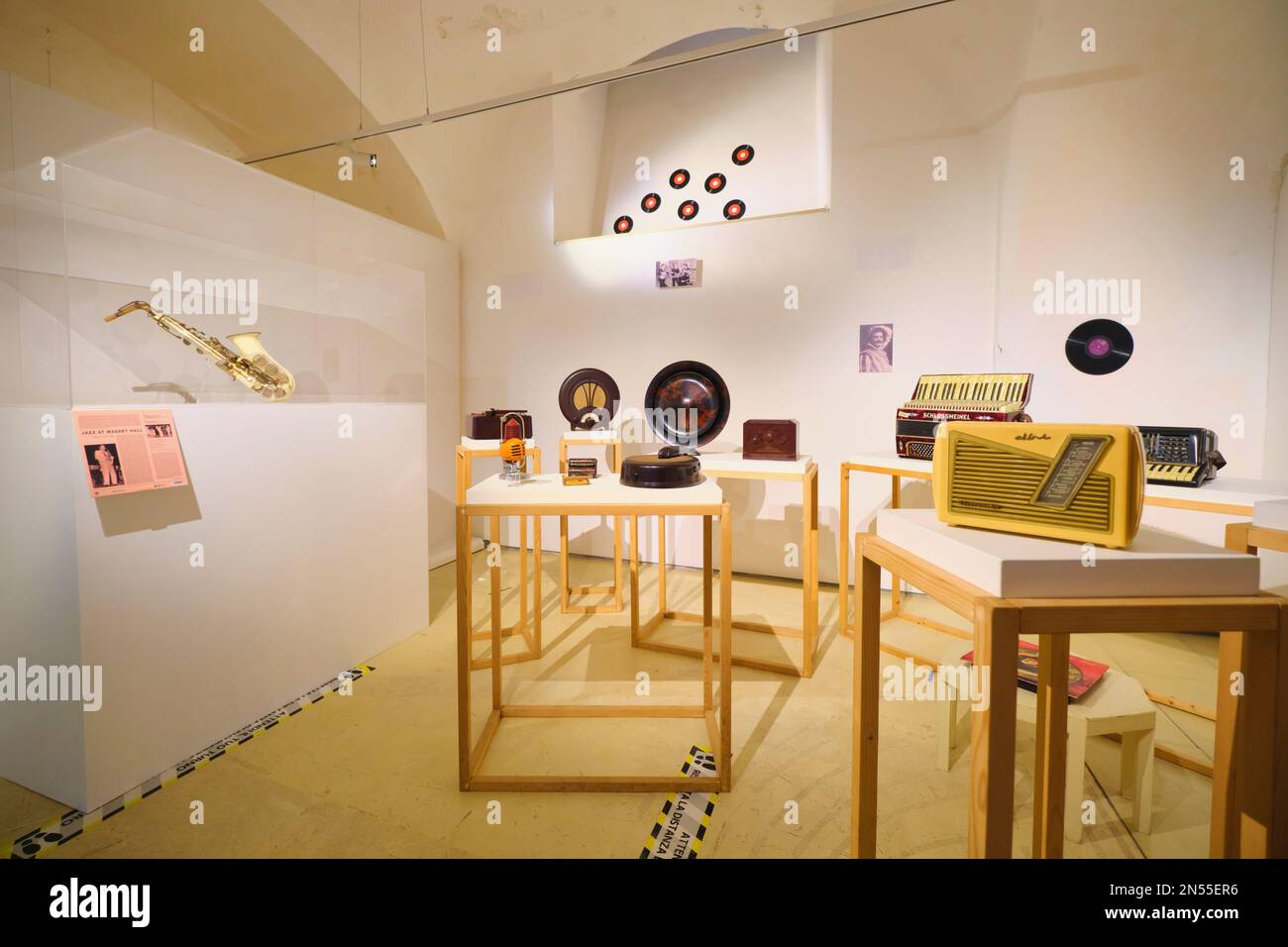 Examples of plastic in musical items, including accordians, radios ...