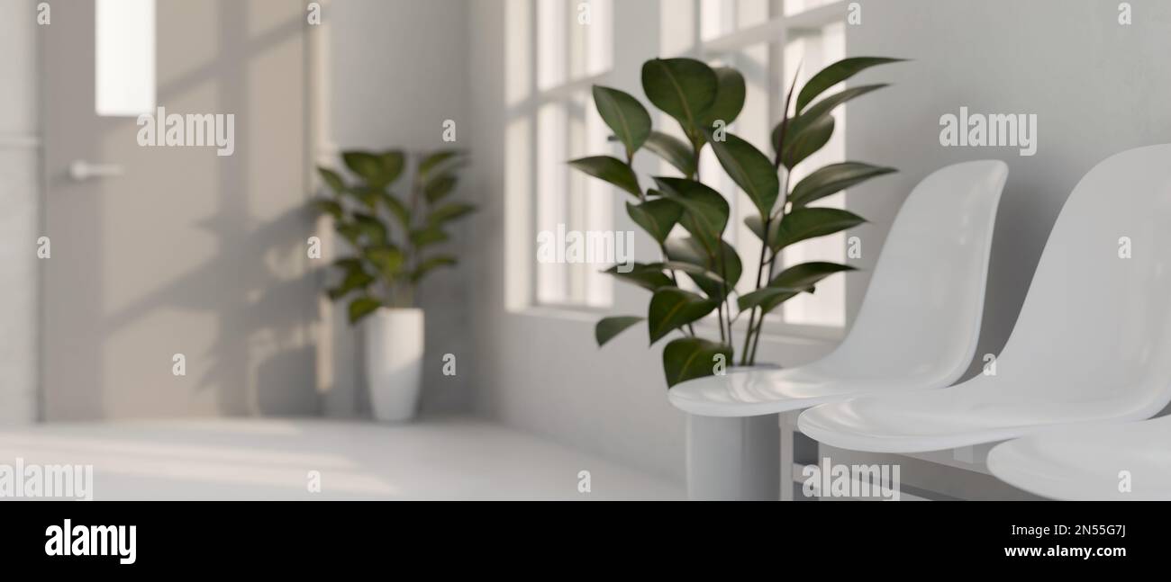 Close-up image of a white waiting seats and indoor plants in modern ...
