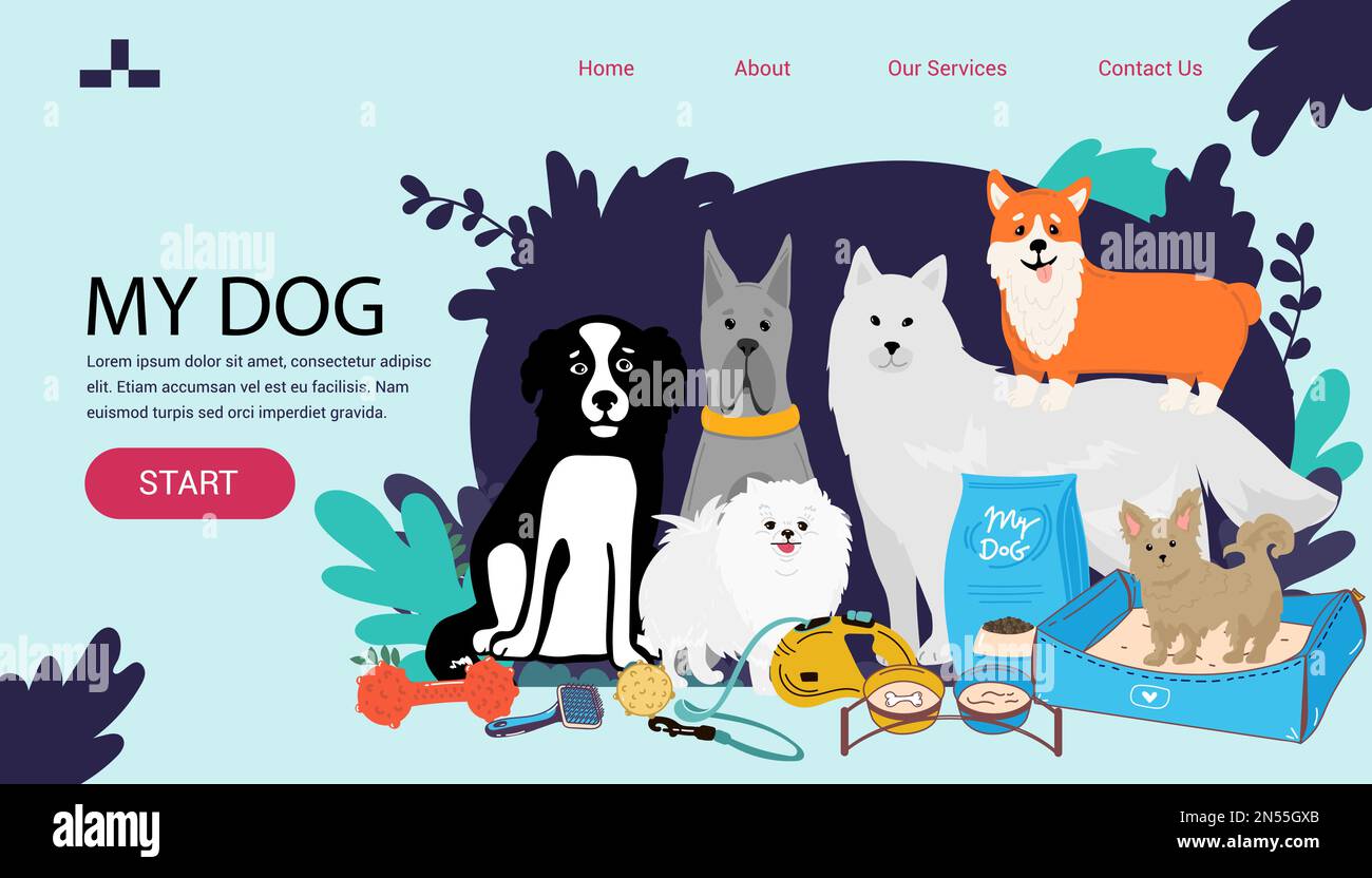 large dogs border set, front view spitz, french mastiff, labrador ...