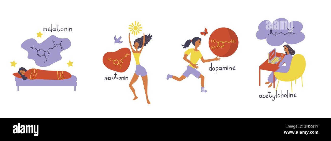 Neurotransmitter illustrations set, action of melatonin, serotonin ...