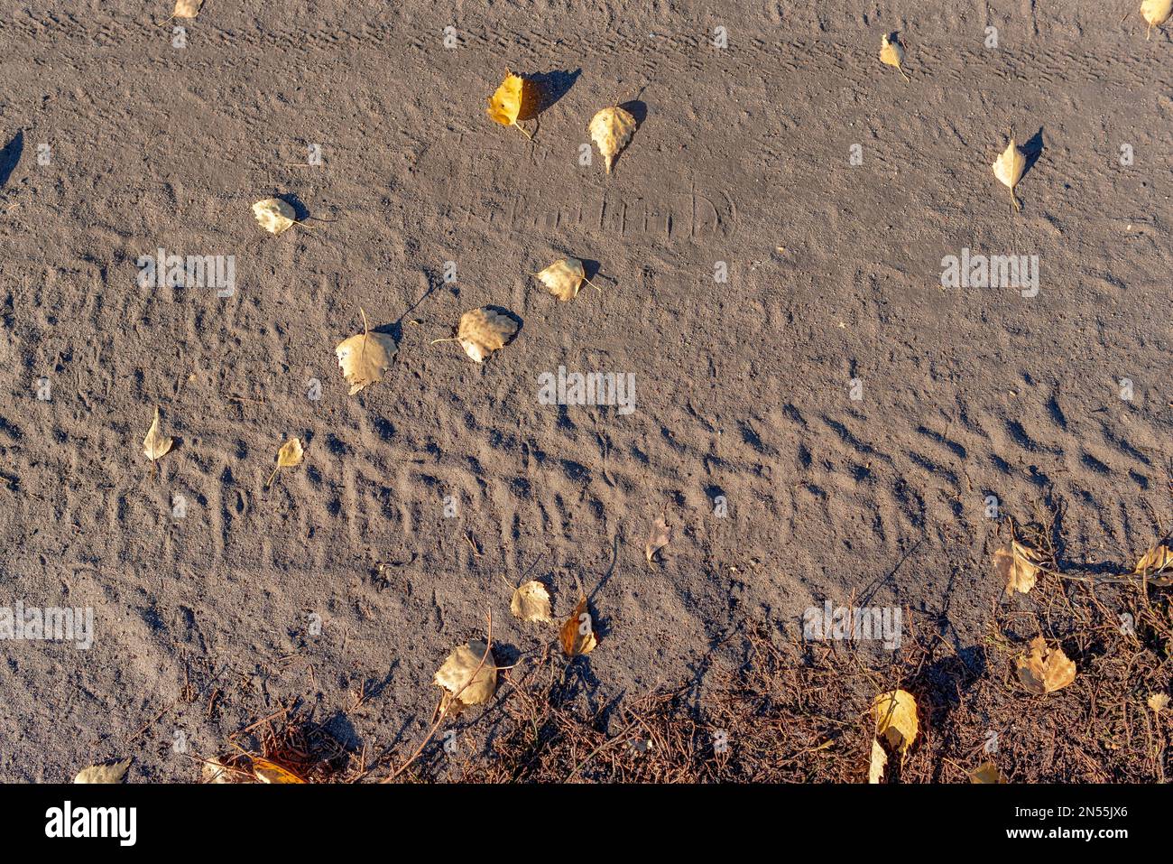 The imprint of the footprint of the tire of the car on dry ground with ...