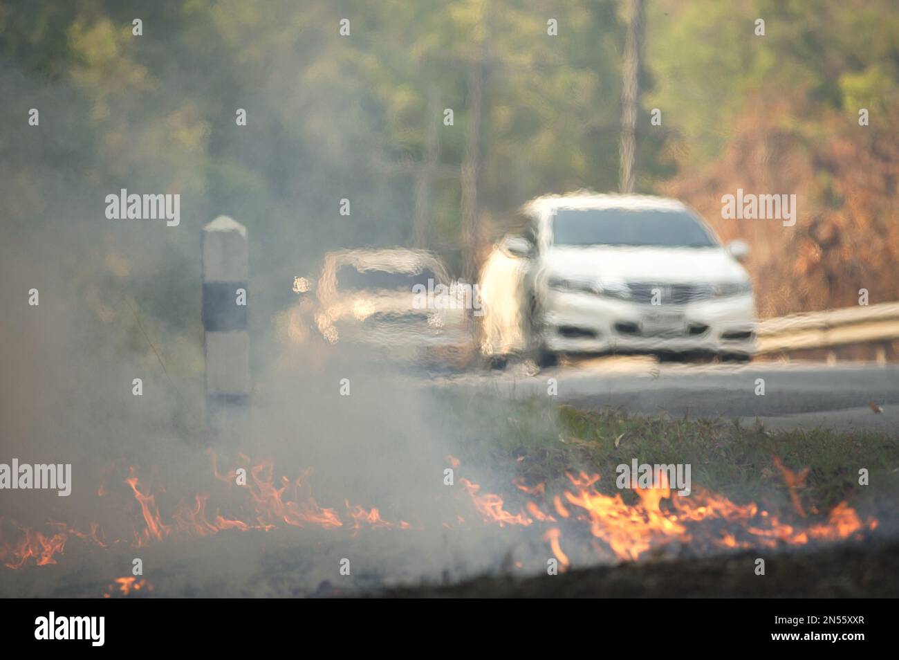 Forest fire on roadside hi-res stock photography and images - Alamy