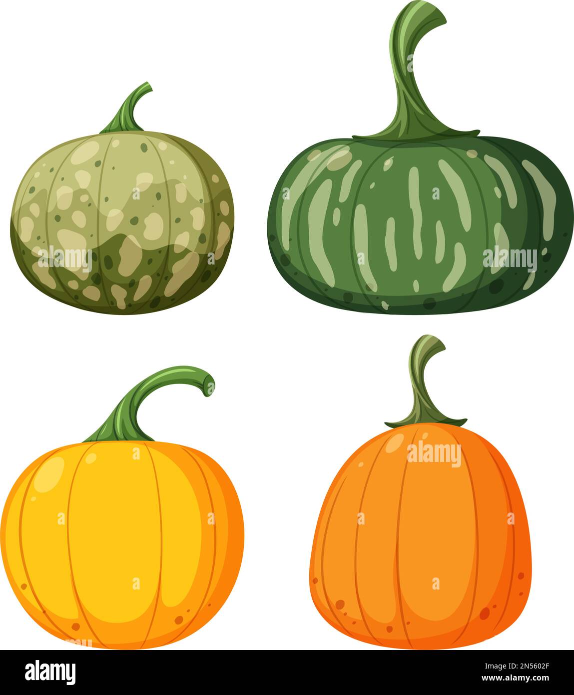 Set of different pumpkins vector illustration Stock Vector Image & Art ...