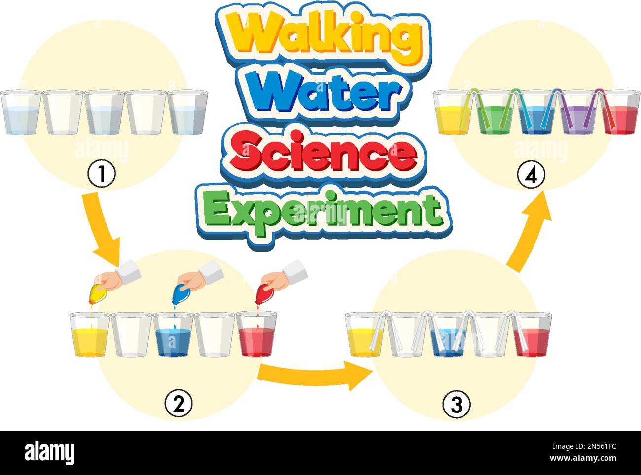 Walking water science experiment illustration Stock Vector Image & Art ...