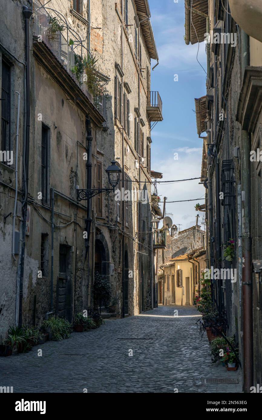 A vertical shot of a narrow paved street passing through old medieval ...