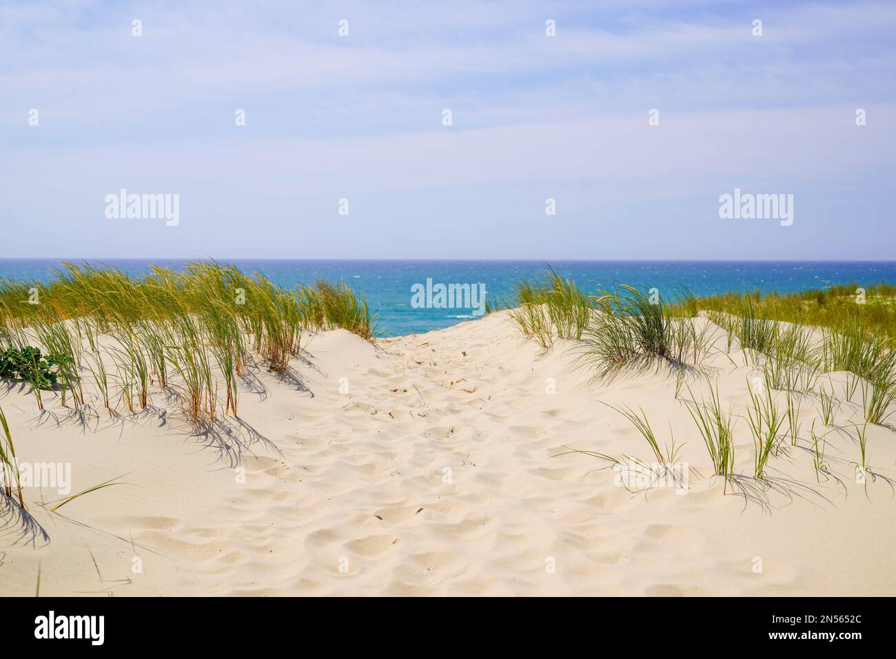 natural dune access to sand beach of le porge in atlantic ocean France ...
