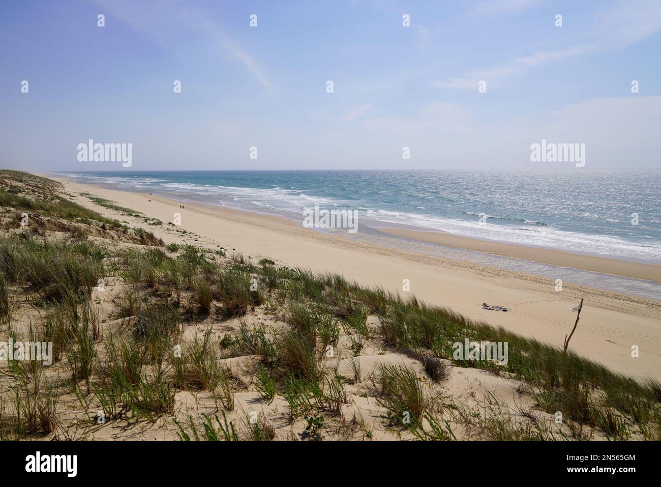 sandy access in sand dune beach in le porge Ocean in France Stock Photo ...
