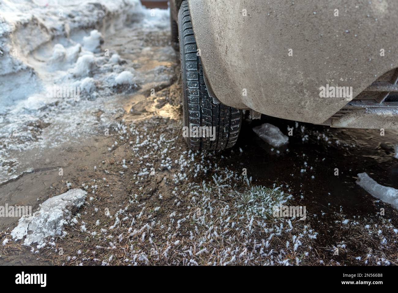 Winter tire with spikes on the front of the off-road car stands on ...