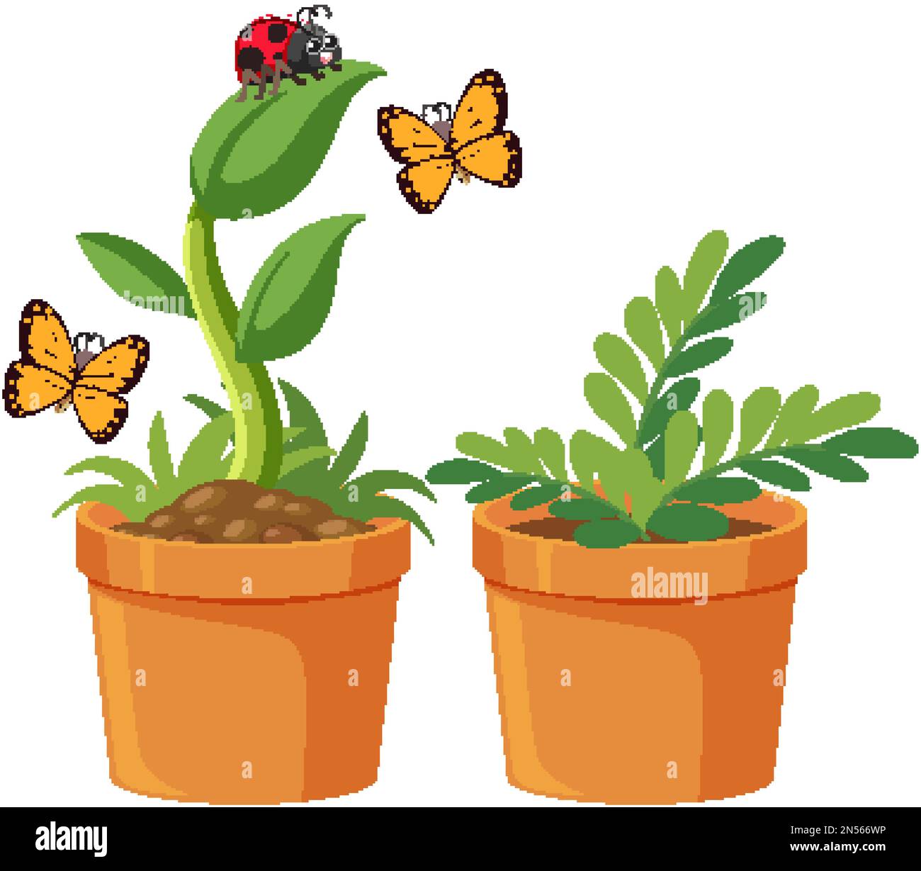 Plant pots with butterfly illustration Stock Vector Image & Art - Alamy