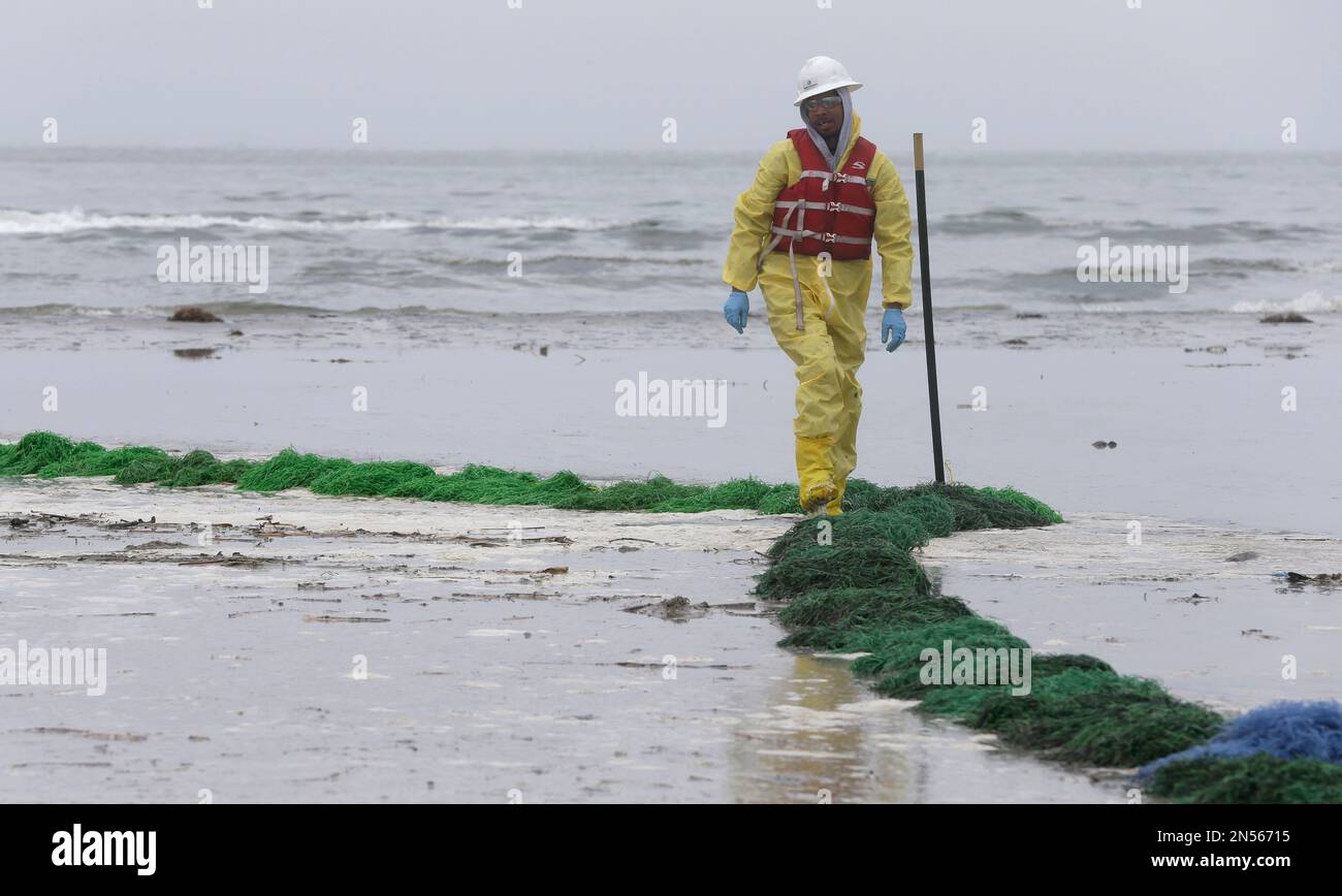 A worker checks a viscous snare line along East Beach in Galveston ...