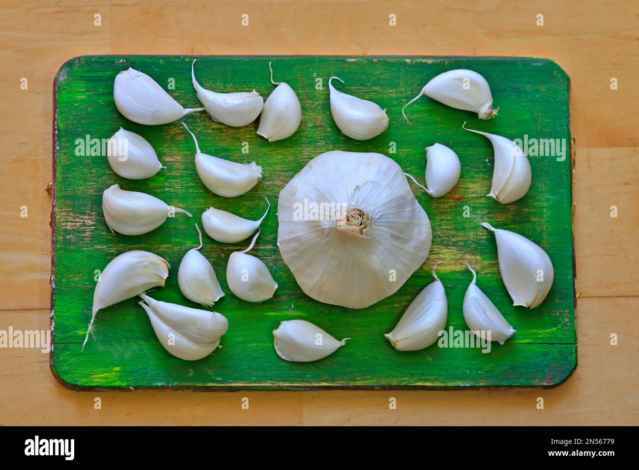 Still Life with Garlic, Germany Stock Photo - Alamy