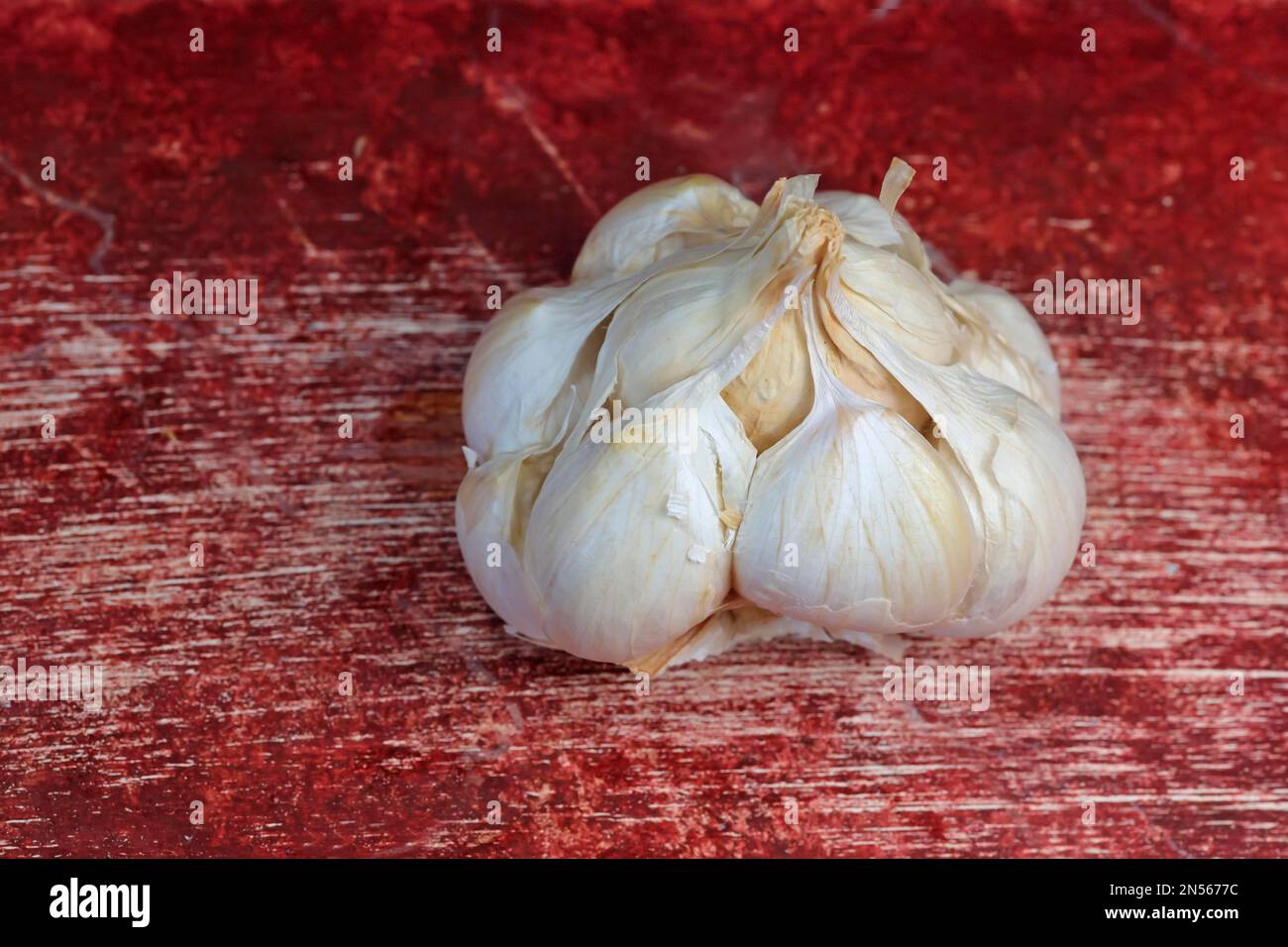 Still Life with Garlic, Germany Stock Photo - Alamy