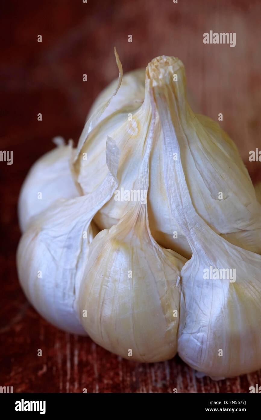 Still Life with Garlic, Germany Stock Photo - Alamy