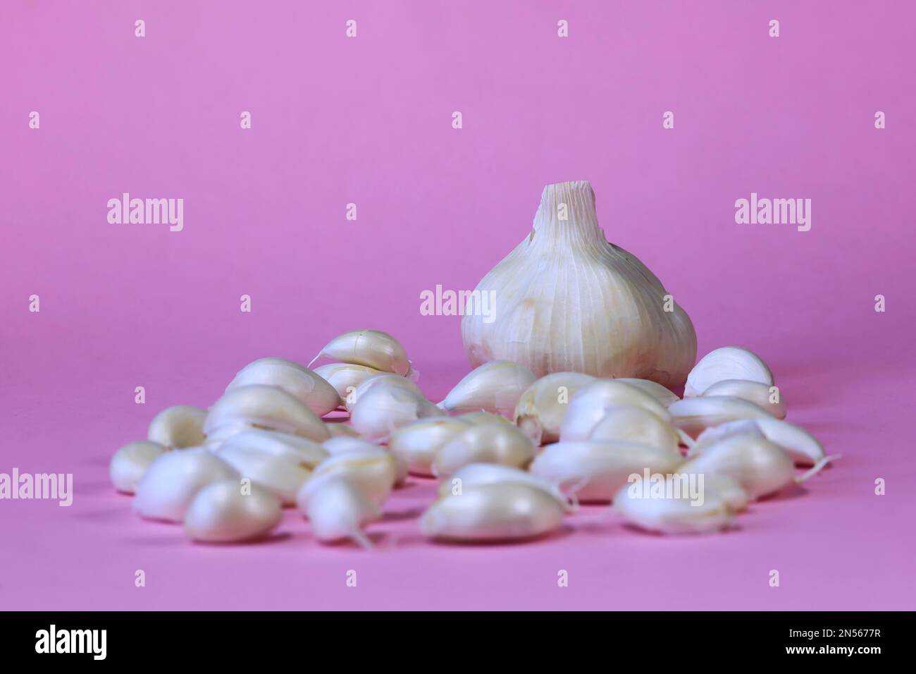 Still Life with Garlic, Germany Stock Photo - Alamy