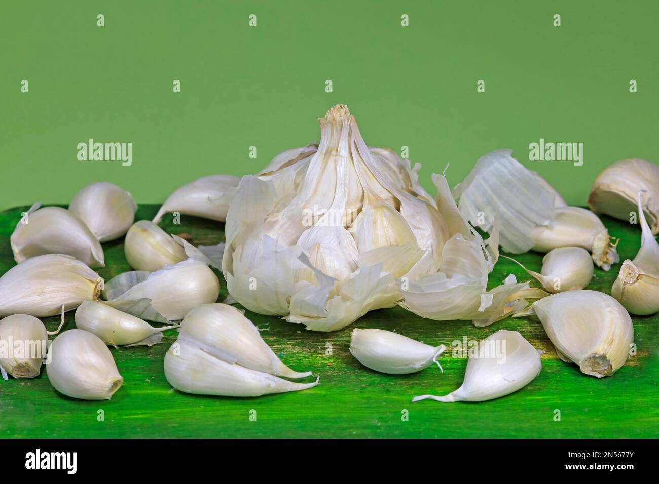 Still Life with Garlic, Germany Stock Photo - Alamy