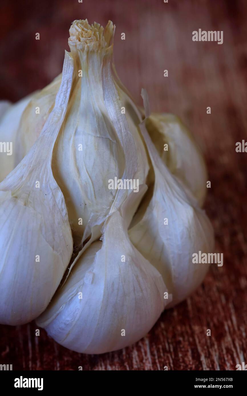 Still Life with Garlic, Germany Stock Photo - Alamy