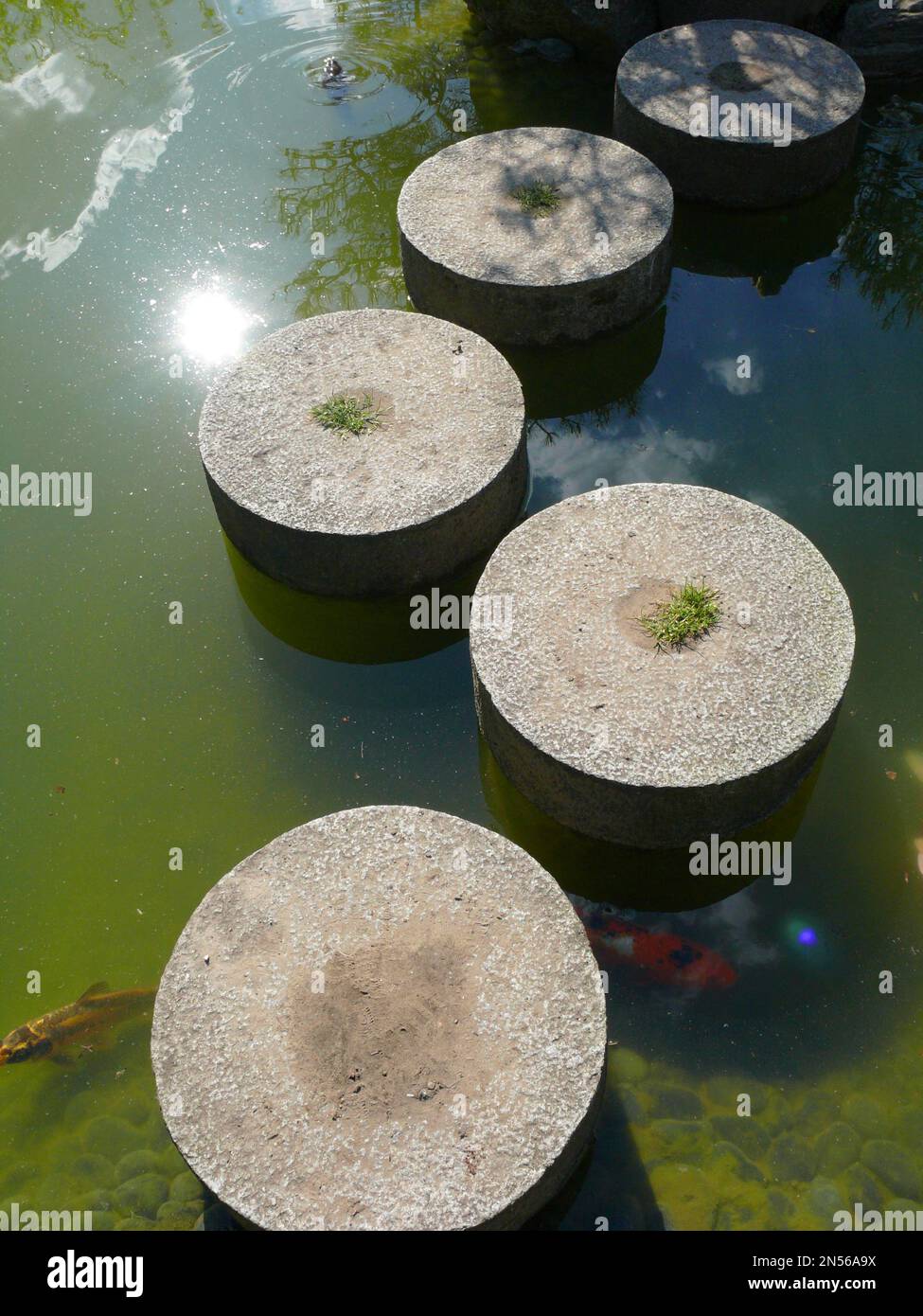 Walkway over water, pond area, Japanese bonsai garden in Schwilowsee ...