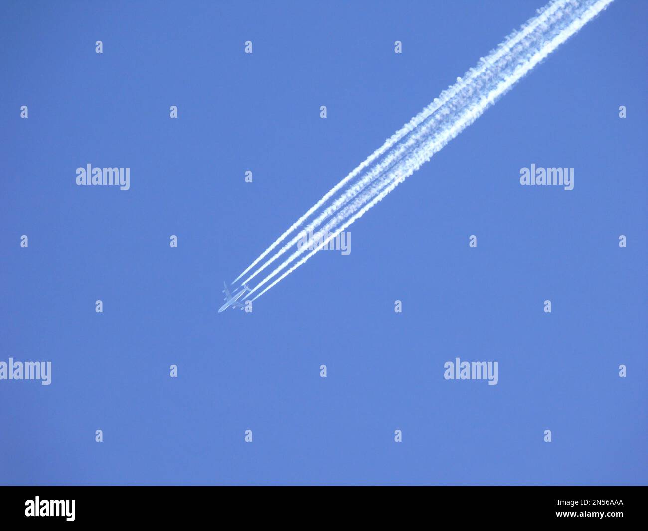 Tree sky jet trails hi-res stock photography and images - Alamy