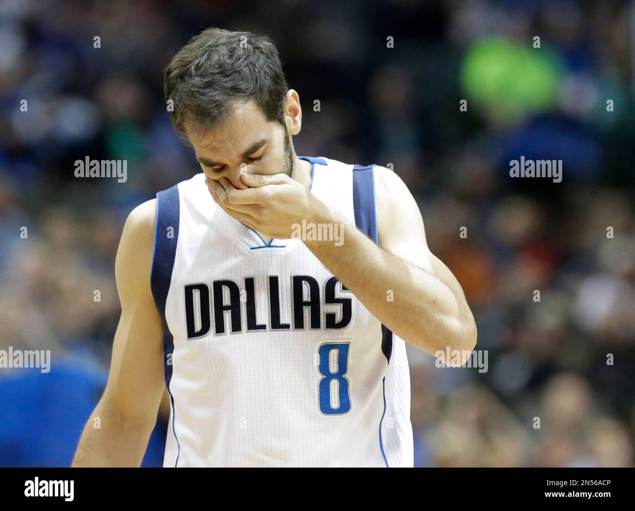 Jose Calderon Mavericks