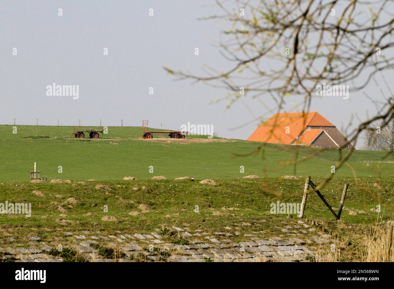 Traditional Dutch farmhouse hidden behind the dike. A few farm carts ...