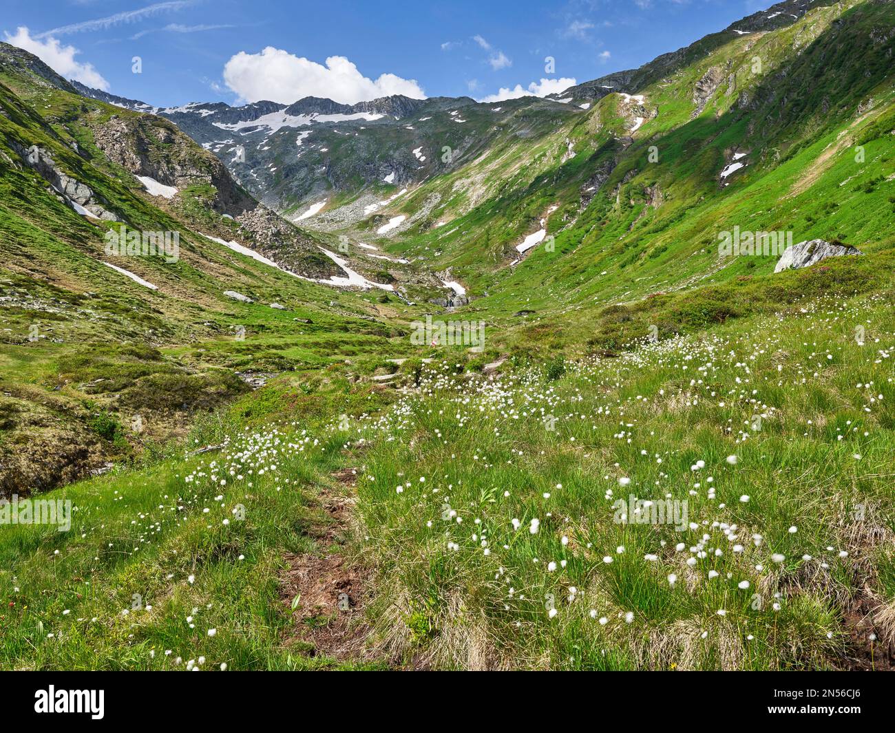 Hike along the Mur, Murursprung, Wollgras, Muhr, National Park ...