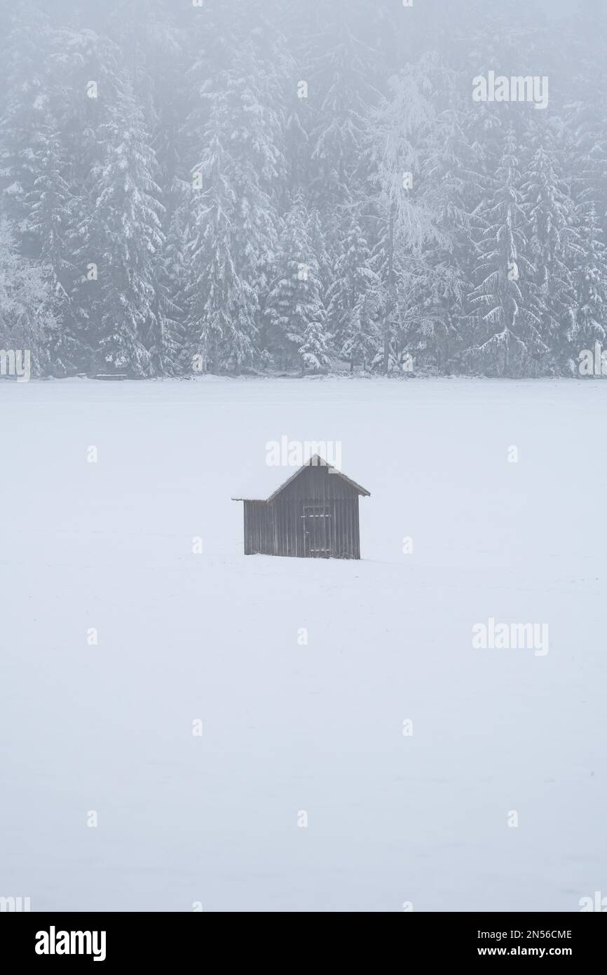 Black forest hut hi-res stock photography and images - Alamy