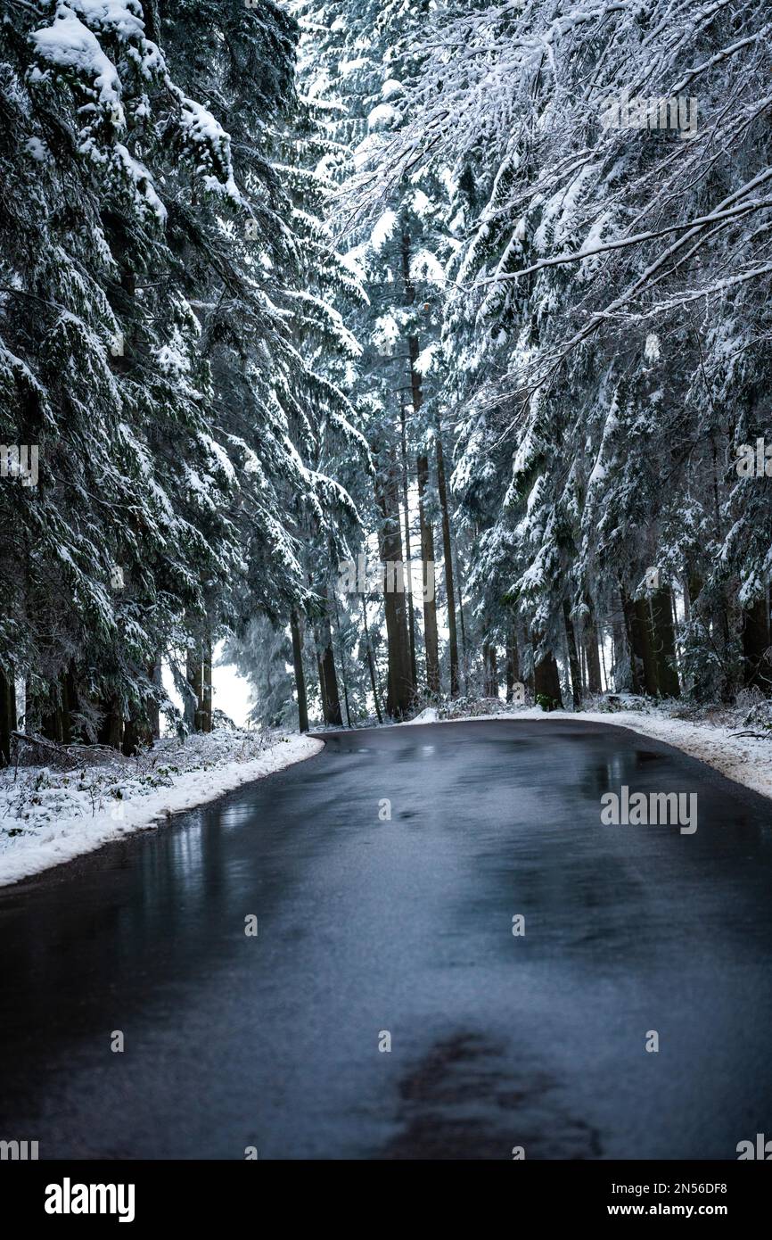 Road through the forest in the snow, Calw, Black Forest, Germany Stock ...
