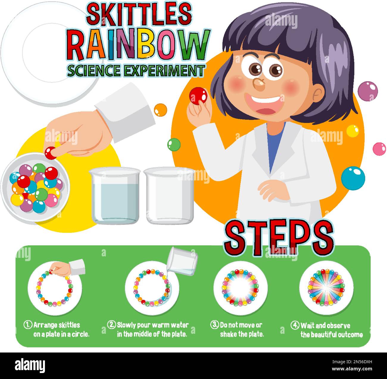 Rainbow skittles science experiment illustration Stock Vector Image ...