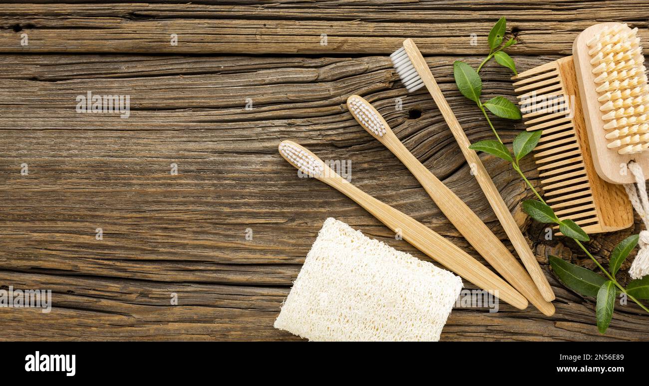 top view toothbrushes with copy space. Resolution and high quality ...