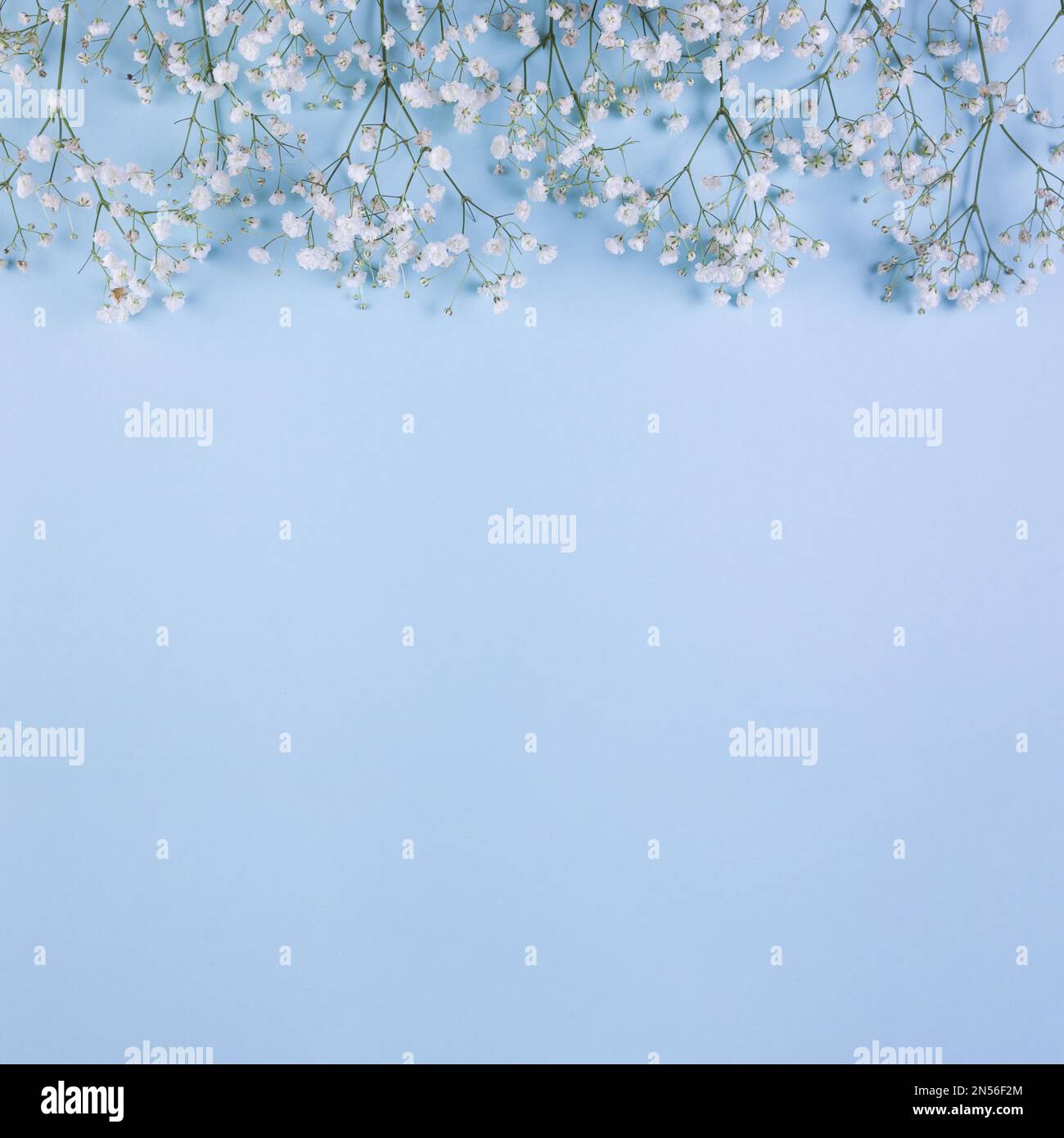 Baby blue background hi-res stock photography and images - Alamy