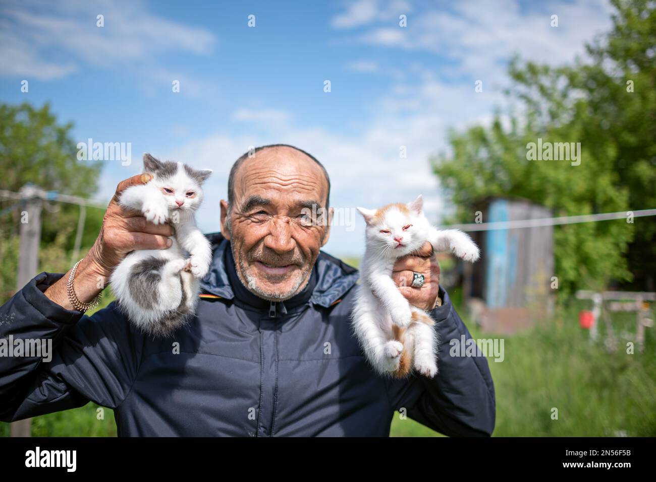 Country cat hi-res stock photography and images - Alamy