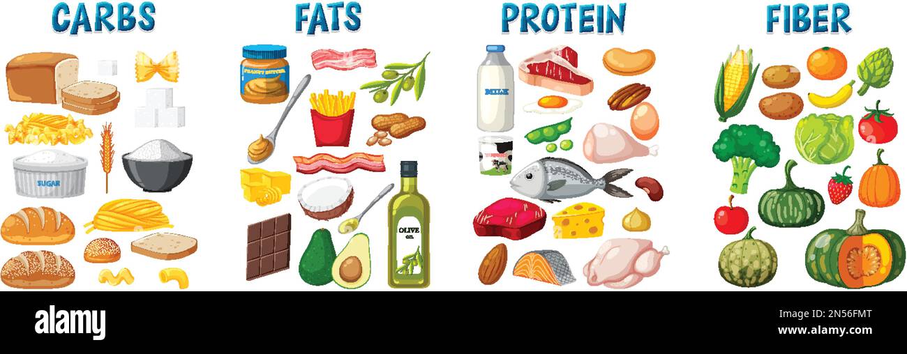 Vegetables and fruits fiber foods group illustration Stock Vector Image ...