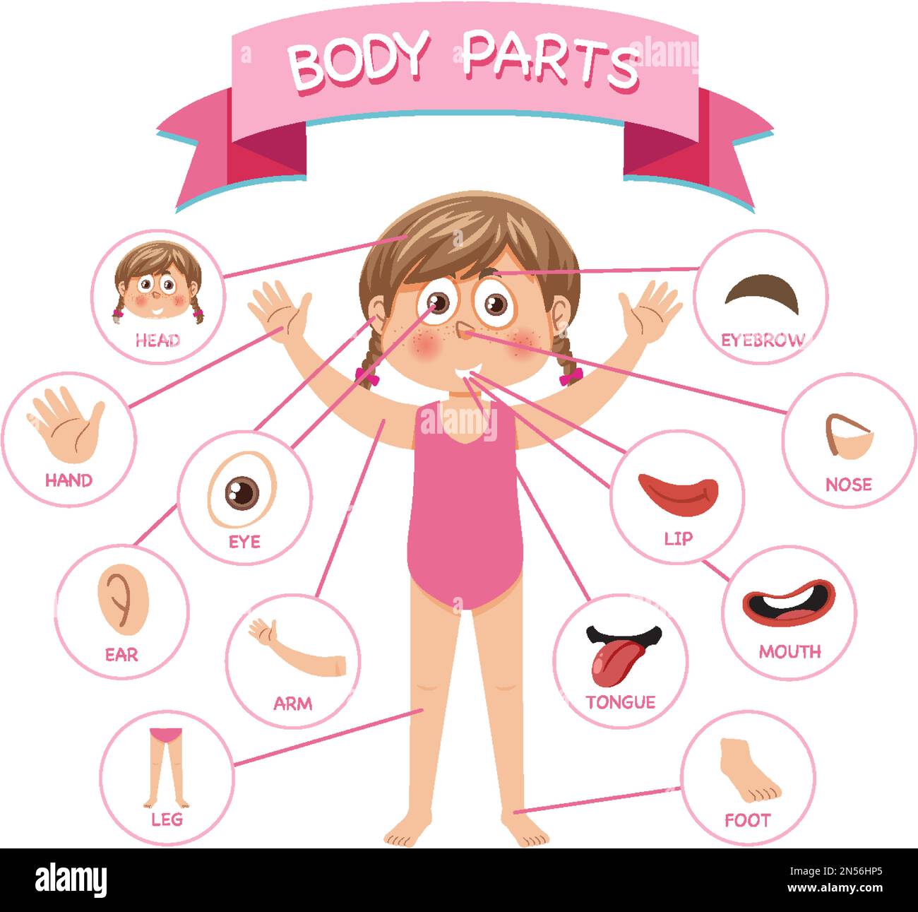 Blank body parts cartoon hi-res stock photography and images - Alamy