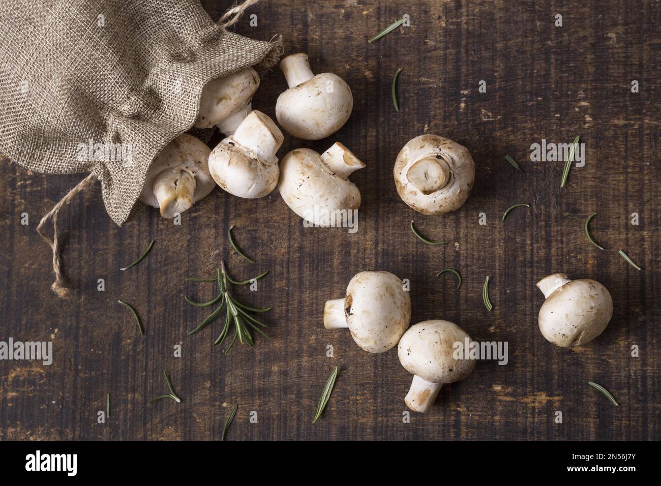 High resolution mushrooms hi-res stock photography and images - Alamy