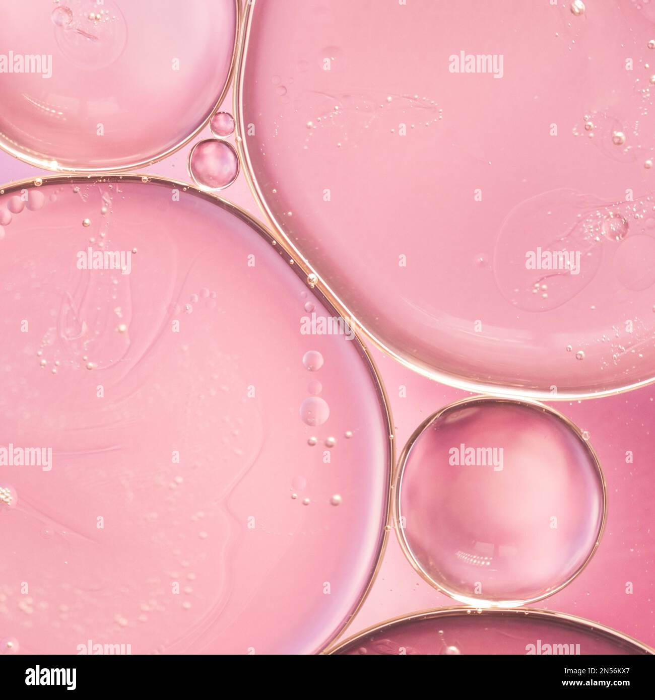 translucent oil drops liquid smooth rose blurred background. Resolution ...