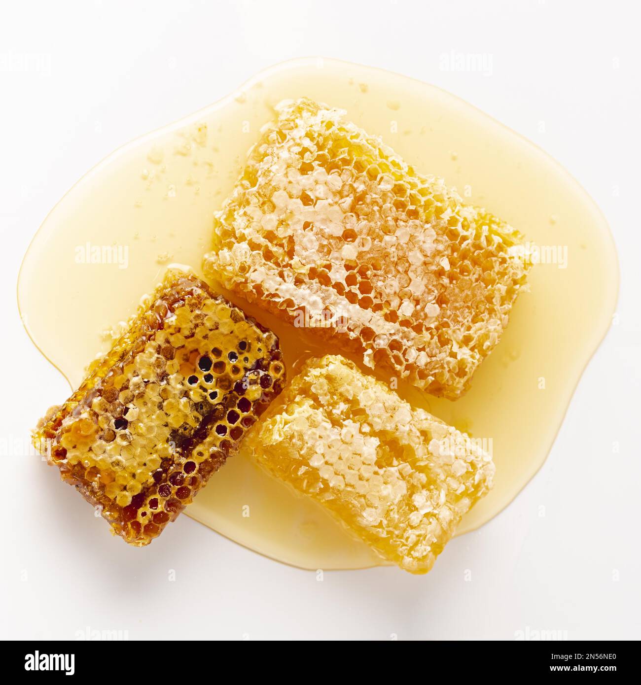 High resolution bee photo hi-res stock photography and images - Alamy