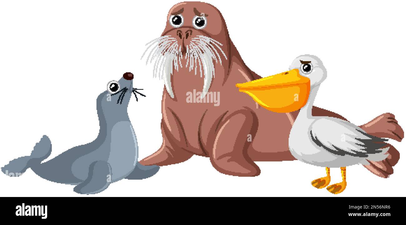 Walrus seal and pelican with sad face expression illustration Stock ...