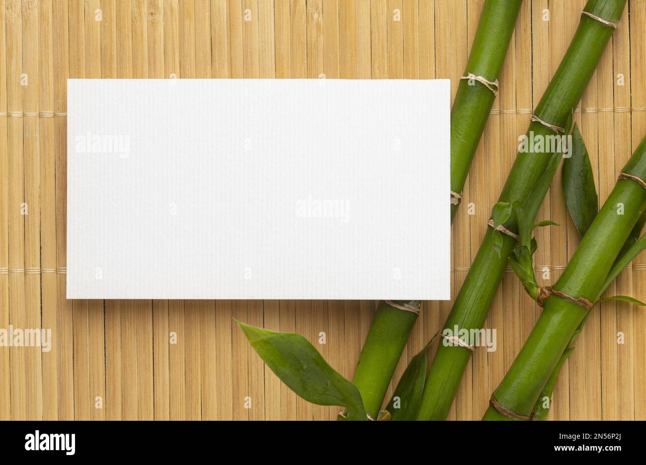 Bamboo Design Powerpoint