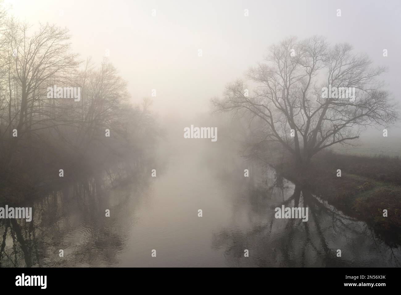 River landscape in dense fog, North Rhine-Westphalia, Germany Stock ...