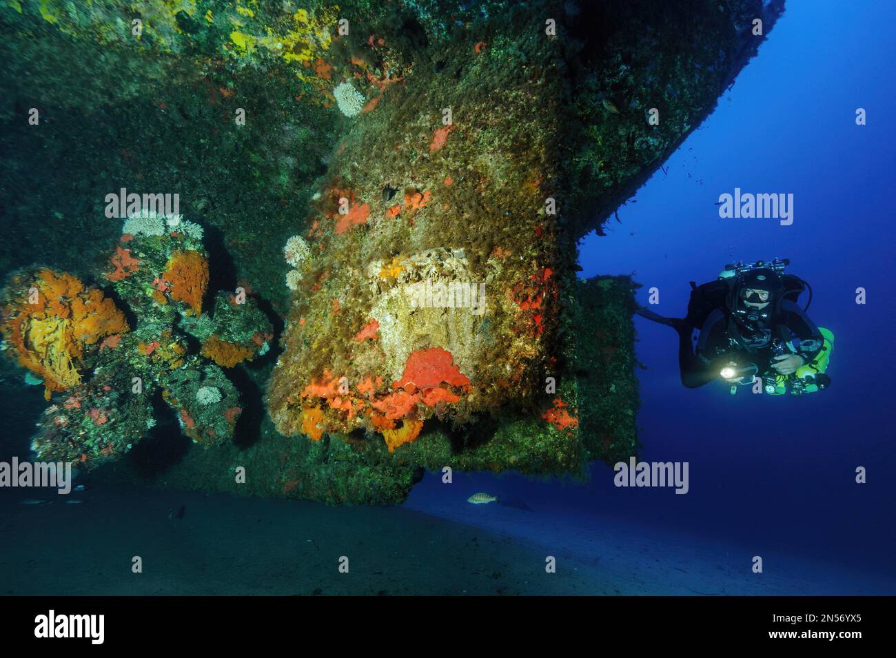 Diver with diving equipment for technical diving Tec Diving Tec Diving ...