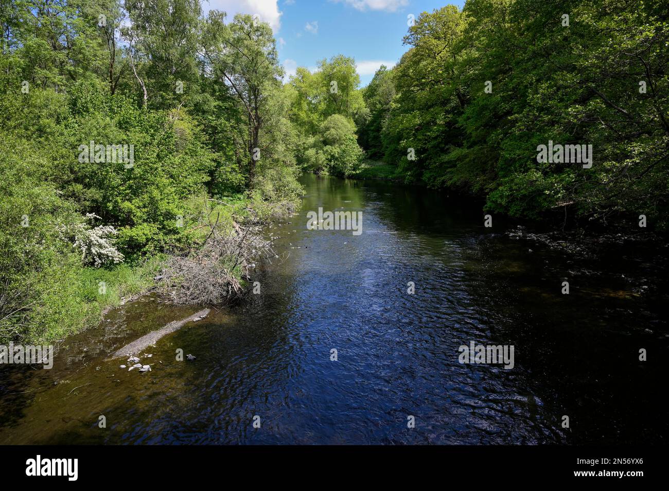 Wupper, river course, Wuppertal, North Rhine-Westphalia, Germany Stock ...
