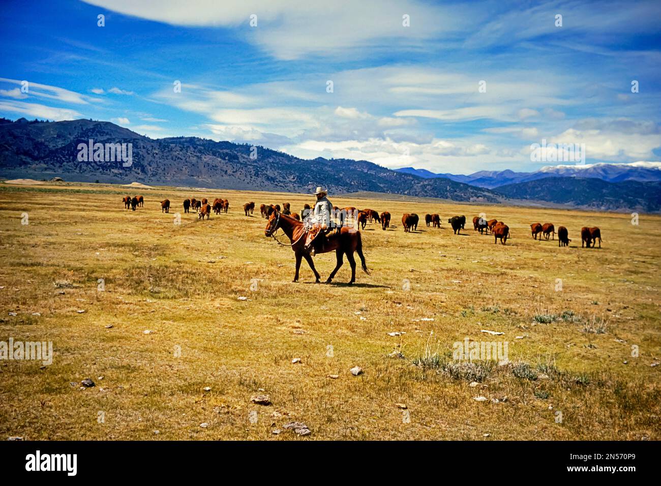 Hunewill ranch hi-res stock photography and images - Alamy