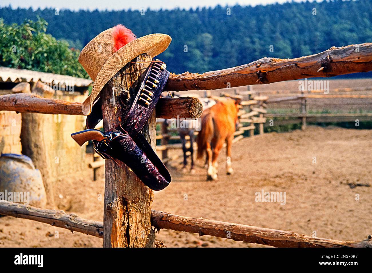 Colt in holster, cowboy hat, paddock, ranch in Wyoming, USA Stock Photo ...