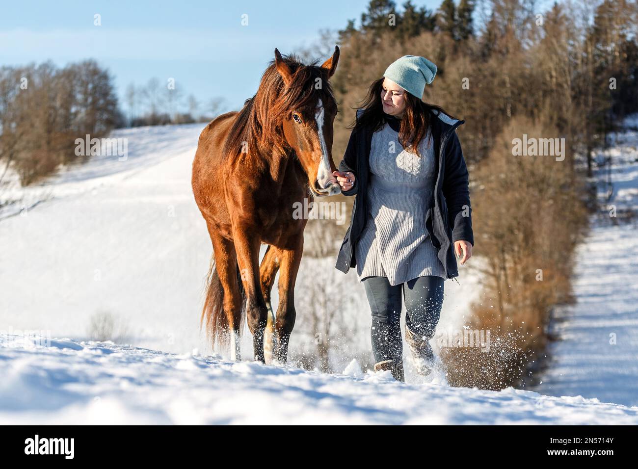 Portrait of an equestrian woman riding on her horse in front of a rural ...