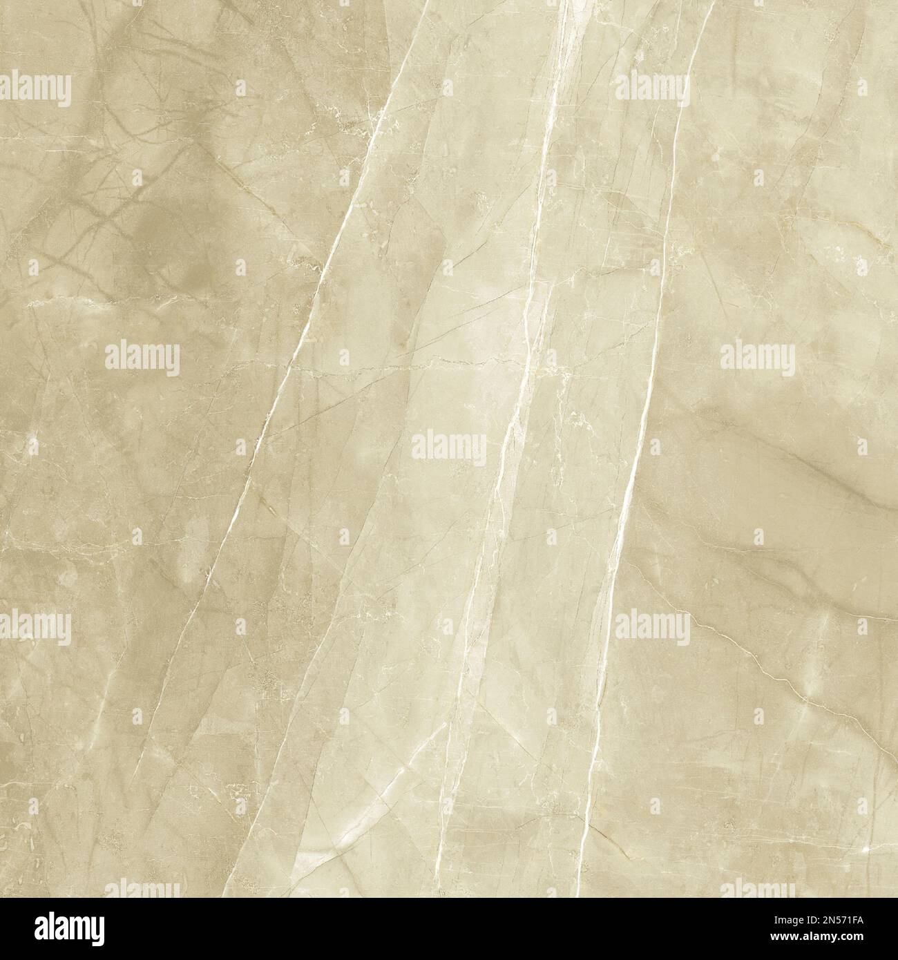 PISTA tiles with natural veins high resolution marble texture design ...