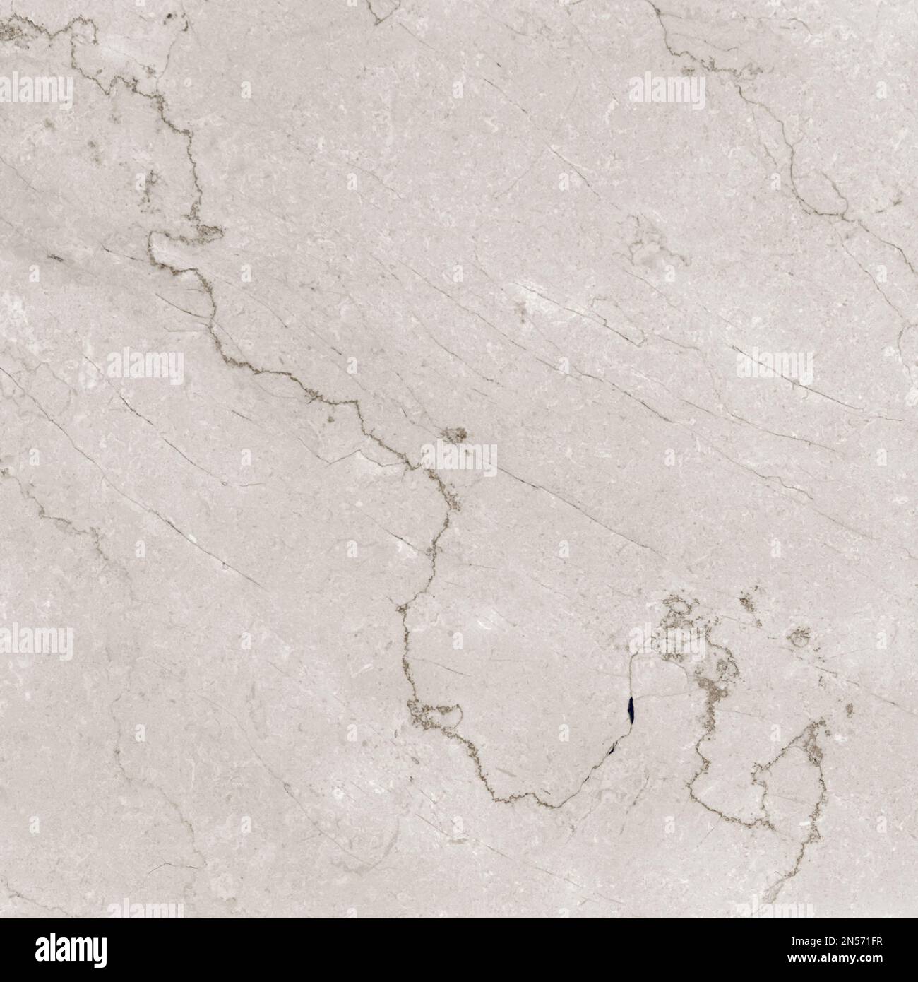 LIGHT GREY tiles with natural dark veins high resolution marble texture ...